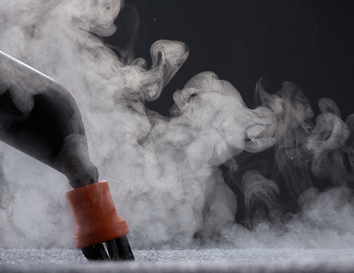 Unlocking the Power of Steam: Revolutionizing Home Cleaning with TANCS ...